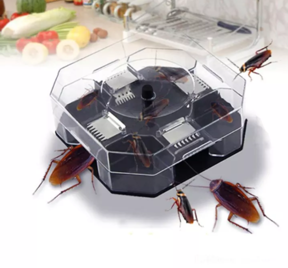Anti Cockroaches Trap Killer | Lazada PH