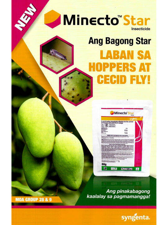 Syngenta MINECTO STAR 60WG Insecticide | Lazada PH