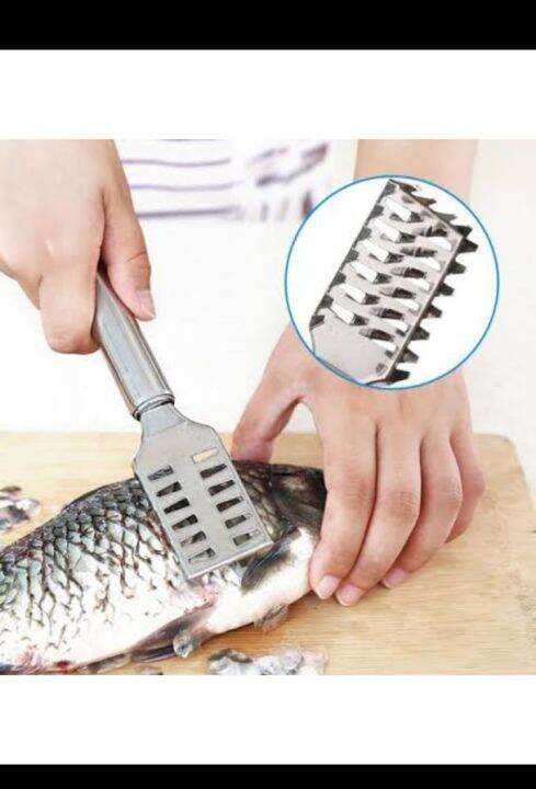 Manual Fish Scale Remover | Lazada PH