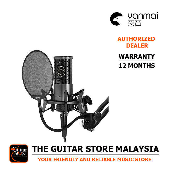Yanmai MICPRO X2 Professional Condenser Microphone With Shockmount ...