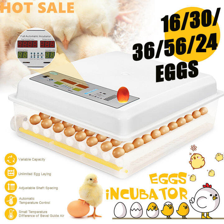 220V 12/16/24/36/56/64 Eggs Incubator Digital Automatic Egg Incubator Fully Automatic Egg ...