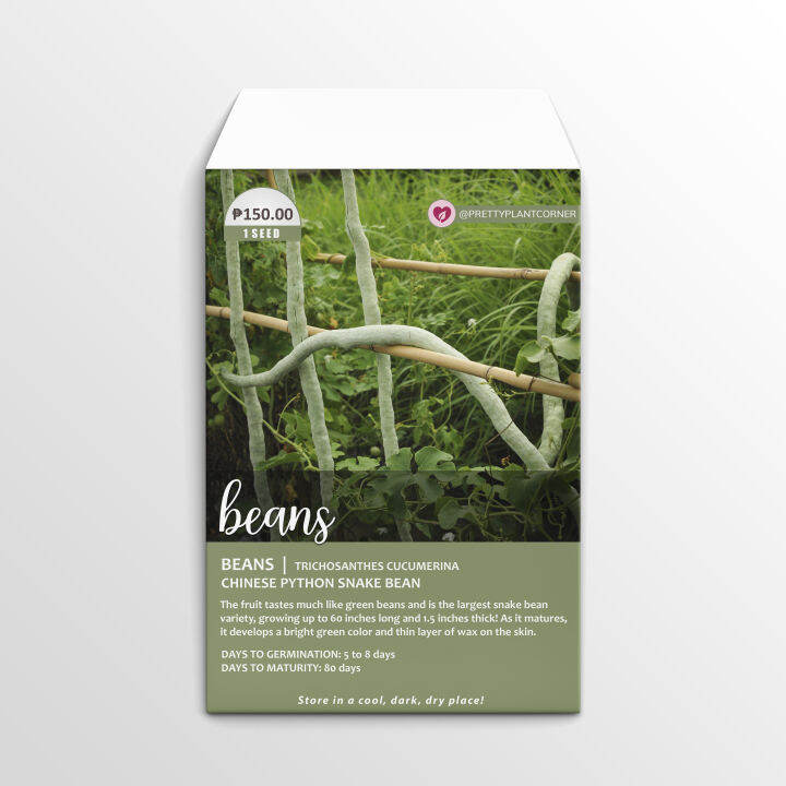 Chinese Python Snake Bean Seeds | Lazada PH