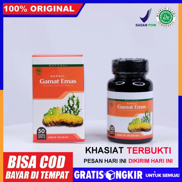 Solusi Untuk Obat Sakit Maag, Asam Lambung Tinggi, Gastritis, Gerd ...