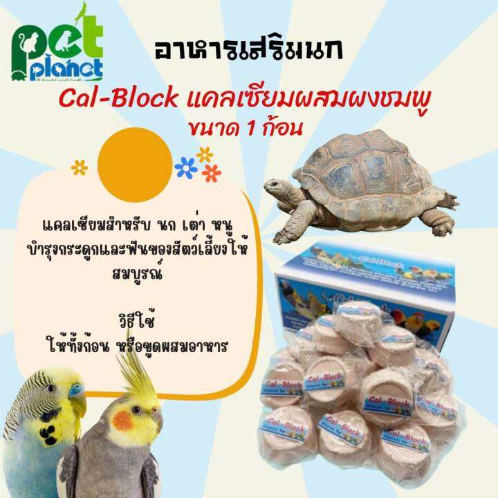 [ 1ก้อน ] Cal-block แคลเซียมก้อน แคลเซียมนก กระดองปลาหมึก แคลเซียมก้อน ...