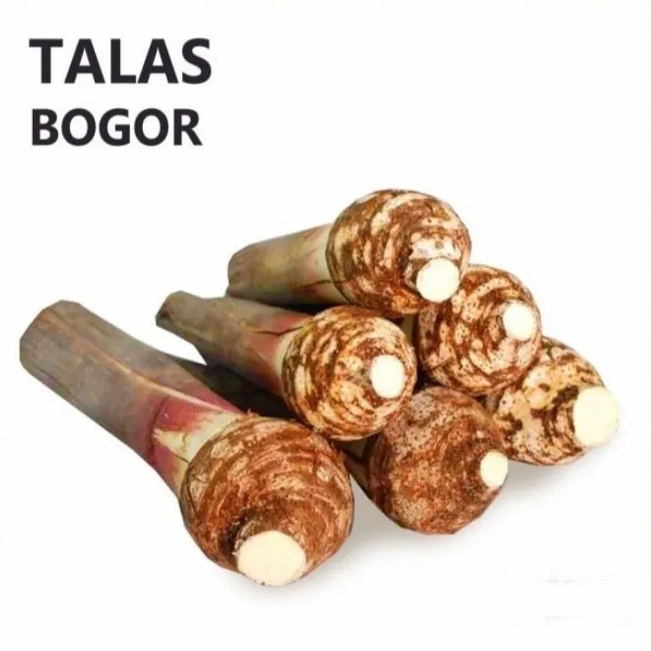 talas kimpul untuk husus talas kukus | Lazada Indonesia