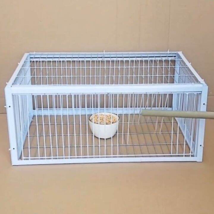 Mid Foldable Galvanised Pigeon Bird Trap Cage Feral Pigeon Humane Way ...