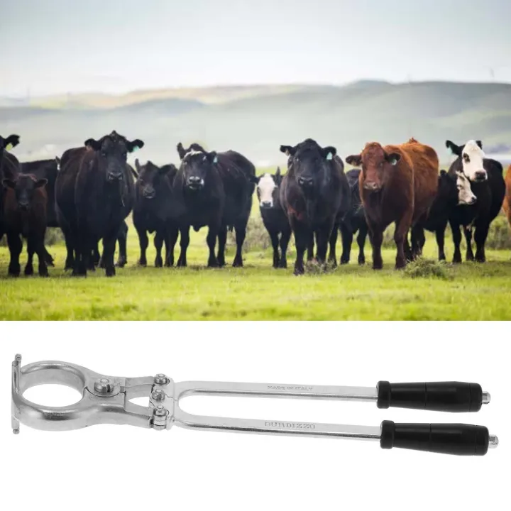 Castration Plier Forcep Stainless Steel No Blood Castration Veterinary ...