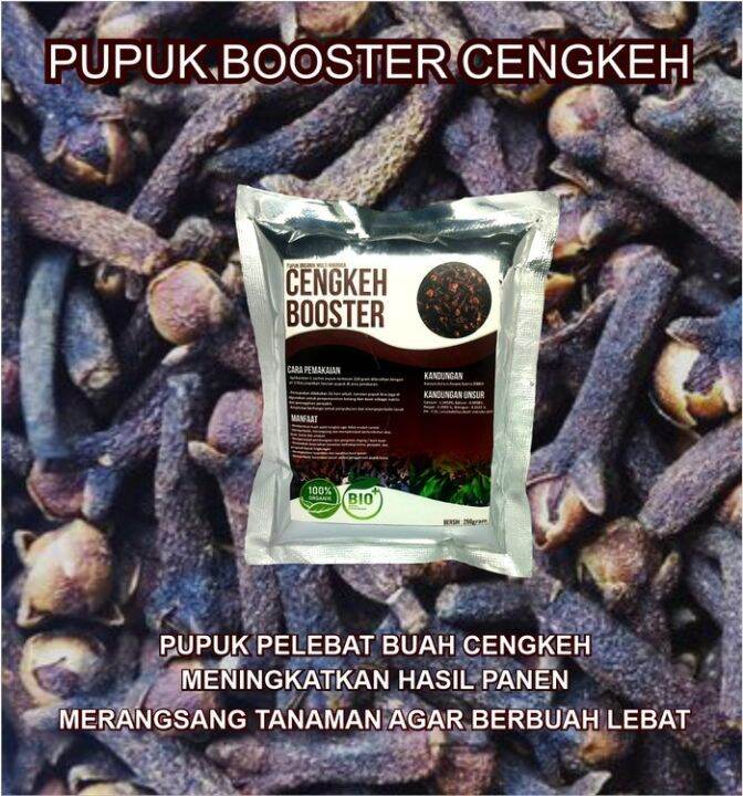 pupuk buah super lebat untuk cengkeh pupuk cengkeh cepat berbuah pupuk | Lazada Indonesia