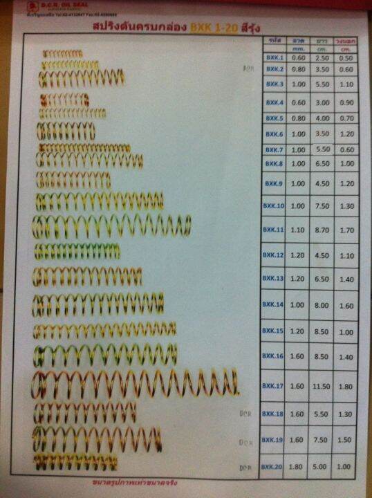 สปริงดัน สปริงกด BXK เอนกประสงค์ สีรุ้ง มีหลายขนาดให้เลือก ขนาดและจำนวน ...