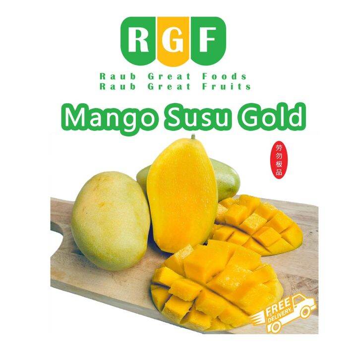 Fresh Mango Susu Gold/ Chukanan** Thailand, (1kg: 2 to 3 pcs) | Lazada