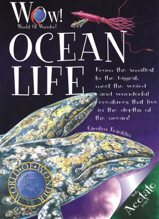 WOW! WORLD OF WONDER :OCEAN LIFE BY DKTODAY | Lazada.co.th