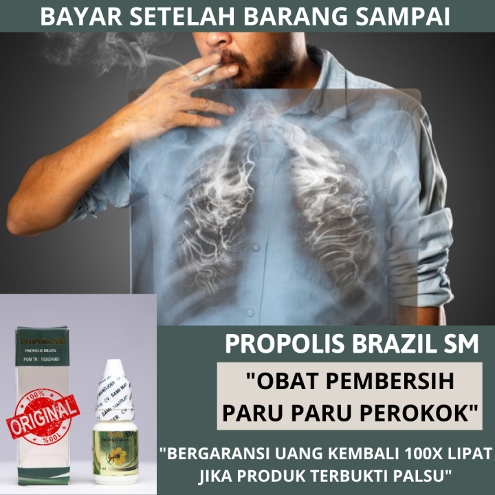 Obat Membersihkan Paru Paru Perokok - Obat Paru Paru Perokok, Obat Paru ...