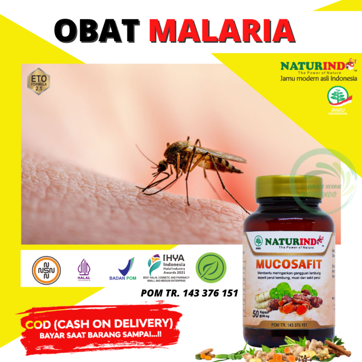 OBAT MALARIA YG BAGUS AMPUH DAN MANJUR HERBAL MUCOSAFIT ISI 40 KAPSUL ...
