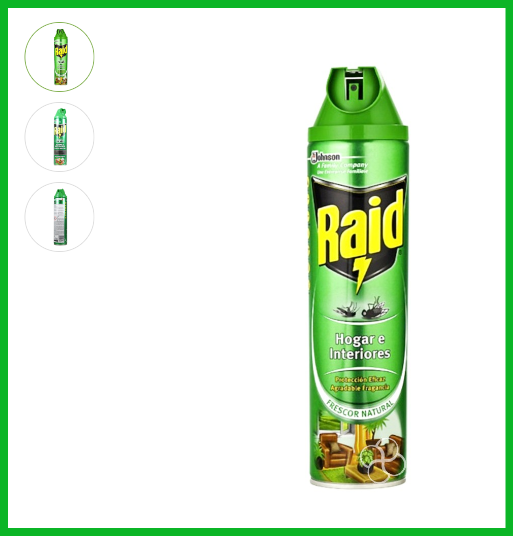 Raid Home & Interiors Insecticide Spray 600mL | Lazada PH