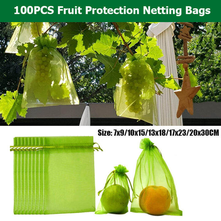 100PCS Fruit Protection Netting Bags for Fruit Trees, Garden Mesh ...