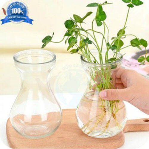 VAS BUNGA KACA VAS KACA MONTOK POT BUNGA ESTETIK ARTIFISIAL HIDROPONIK ...