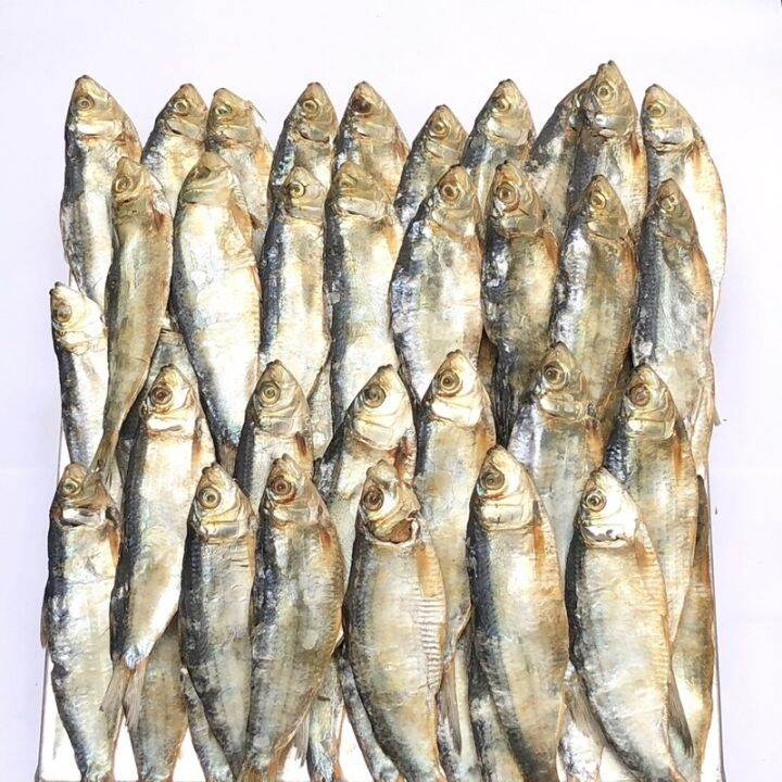 HOT Tuyo Dried Fish from Bataan 250g | Lazada PH