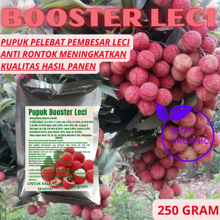 Pupuk Booster Pelebat Buah Leci Organik / Pupuk Leci Pemacu dan Pelebat ... Pupuk Booster Pelebat Buah Leci Organik / Pupuk Leci Pemacu dan Pelebat ...