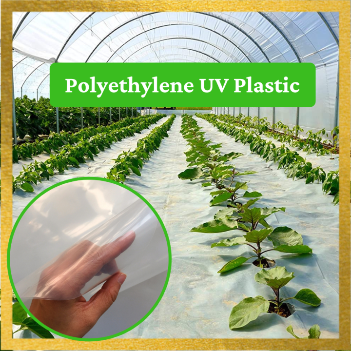 Polyethylene UV Plastic 9ft x 5 meter Roofing for Greenhouse / Farm ...