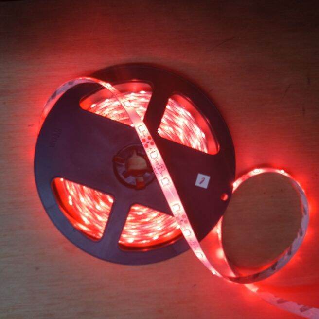 Lampu LED 5 Meter | Lazada Indonesia