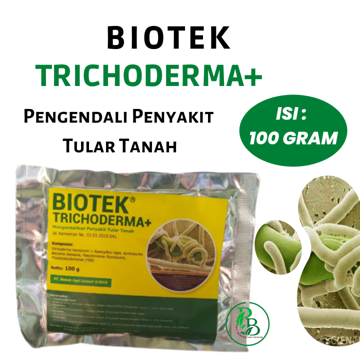 Pupuk Penyakit Tanaman Edamame, Biotek Pupuk Hayati Trichoderma+ Cegah Fusarium Wilt pada Kacang ...