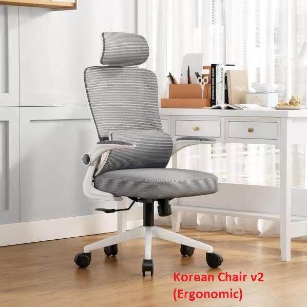 Korean Office Mesh Chair / High Back Ergonomic Office Chair / High ...