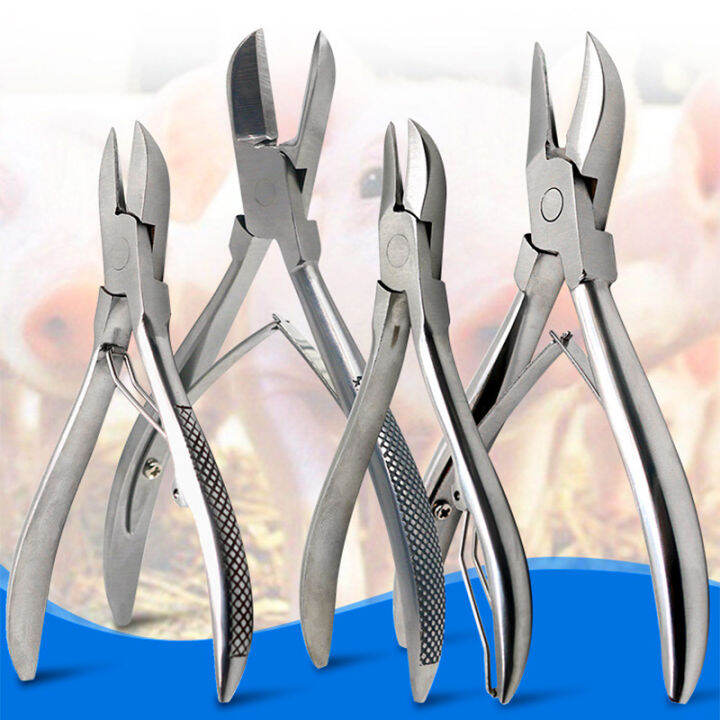 10/12/14cm Piglet Teeth Cutter Elbow Scissor Plier Tooth Cutting ...