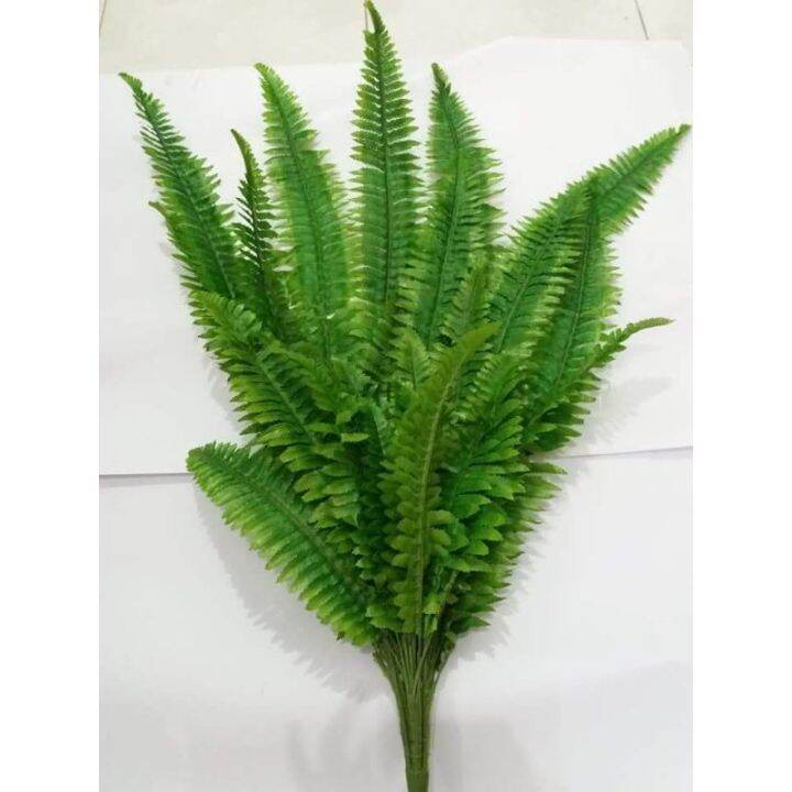 Daun pakis artificial | Lazada Indonesia
