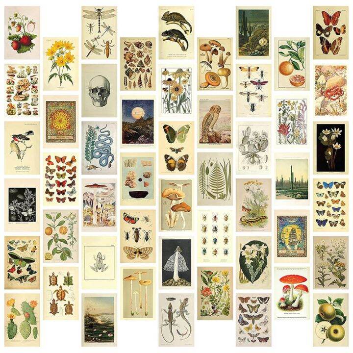 Vintage Aesthetic Wall Collage Kit - 50 Mini Botanical Cottagecore Collage Art Posters (4X6Inch ...