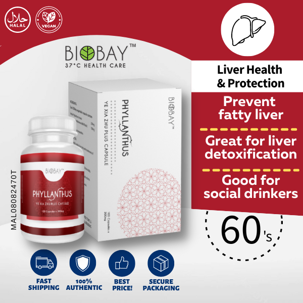 Biobay Livobay 500mg Liver Health Fatty Liver Milk Thistle Cordyceps Dandelion Great Burdock [60 ...