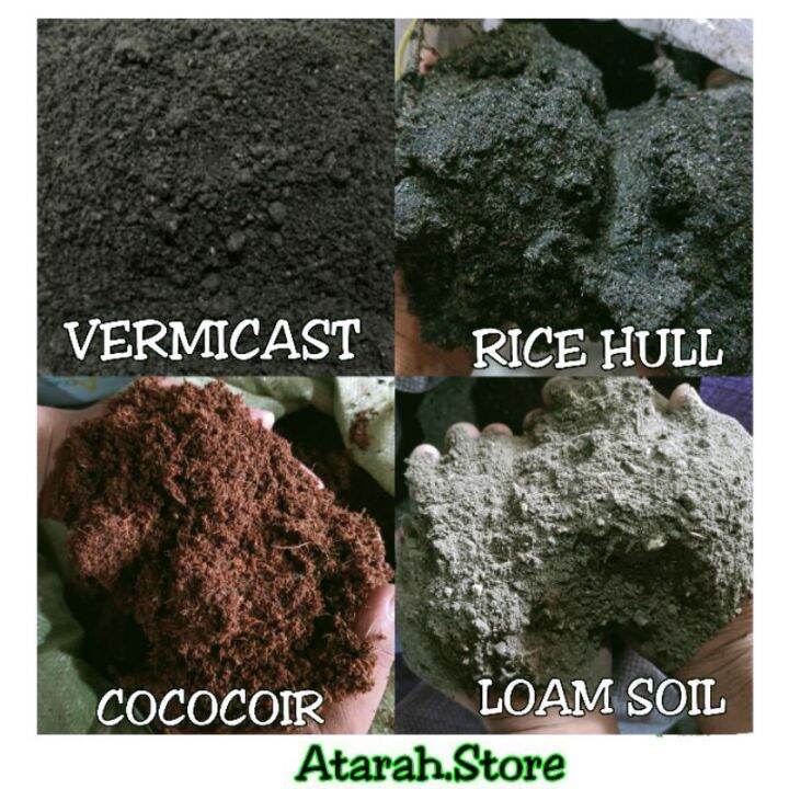 POTTING MIX MEDIUM (Rice Hull, Vermicast, Cococoir, Loam Soil) | Lazada PH