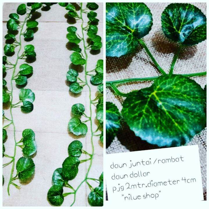 daun rambat /daun juntai panjang 2 meter | Lazada Indonesia