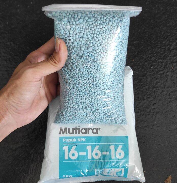 Pupuk NPK Mutiara 16 16 16 500 Gram / Repacking Pupuk NPK Mutiara 500 ...