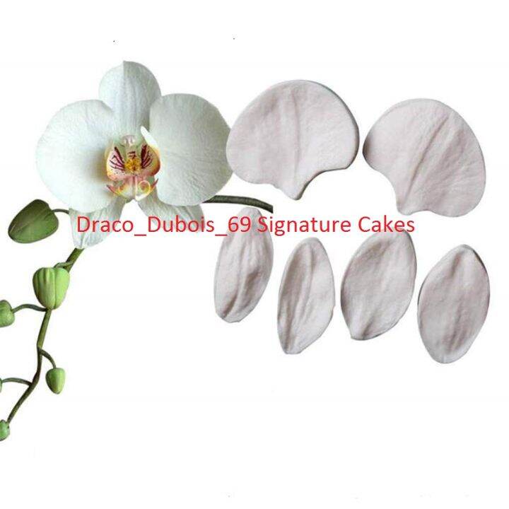 WDWD Moth Orchid Veiner and Cutter Set Phalaenopsis Veiner Orchid ...