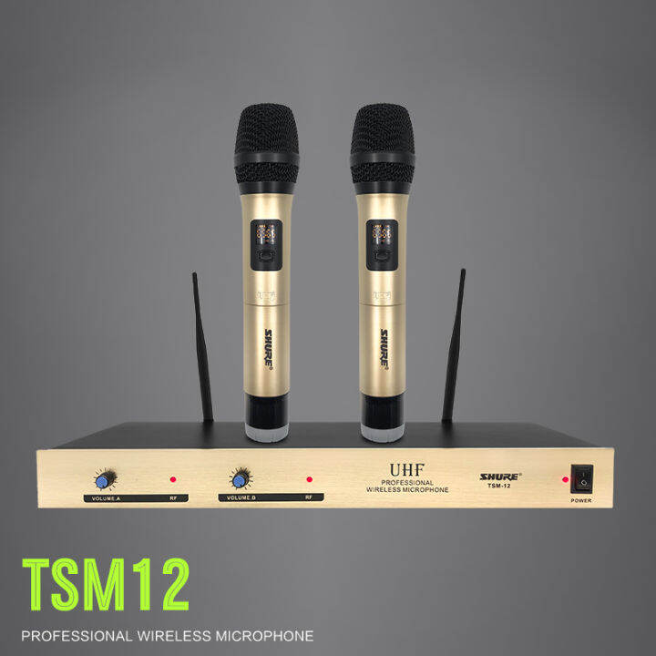 Original TSM12 Wireless Microphone Professional dual-channel wireless ...