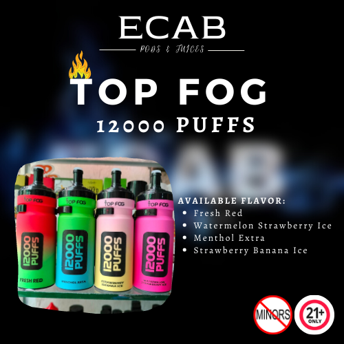 TOP FOG 12000 PUFFS DISPOSABLE POD | Lazada PH
