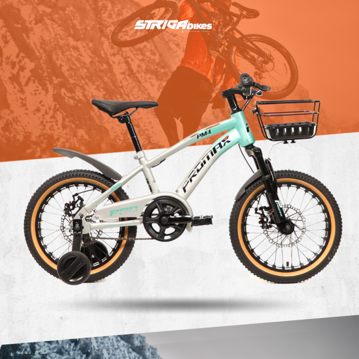 Promax PM4 Kids Bike Size 16 Disc Brake | Lazada PH