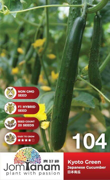 104 - JOM TANAM Japanese Cucumber Seed Benih Timun Jepun日本黄瓜种子 Kyoto Green 104 (20 seeds) | Lazada