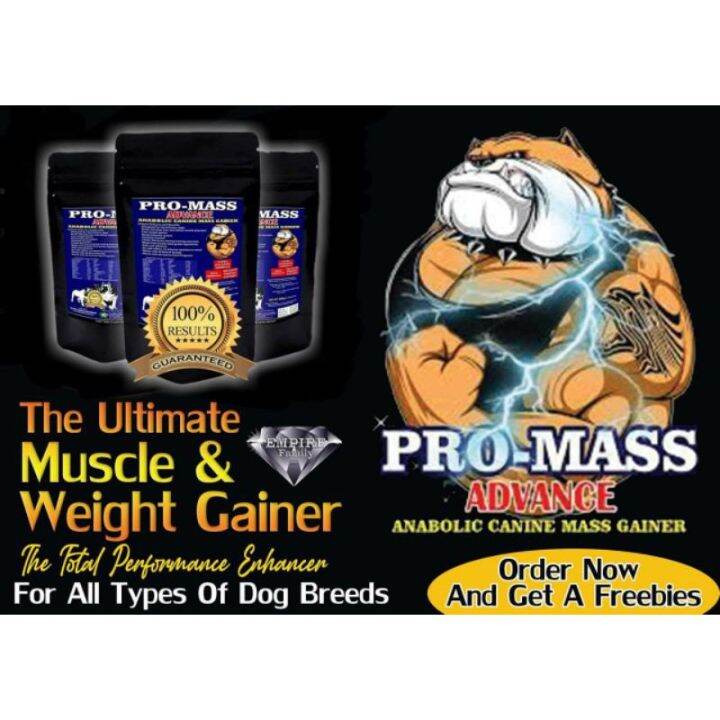 PRO-MASS ADVANCE (Ultimate Weight Gainer and Muscle Builder) | Lazada PH