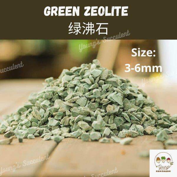 Green Zeolite Stone Tanah Succulent Dan Kaktus 绿沸石 3-6MM | Lazada