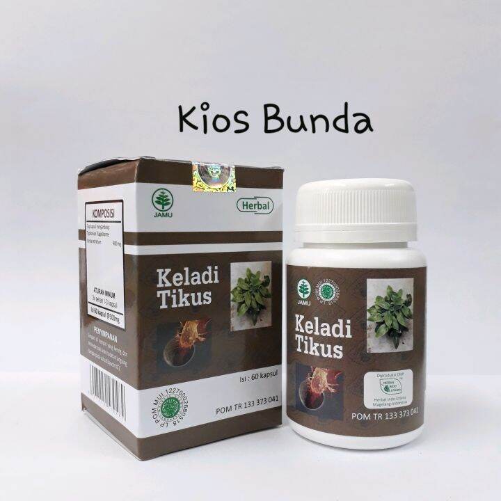 Kapsul HIU KELADI TIKUS Original Herbal Kanker Tumor Miom Kanker ...