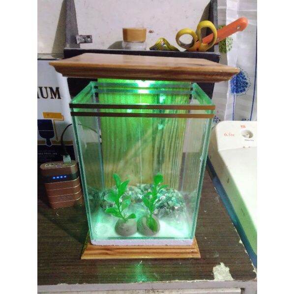 Betta tank with wood frame/perfect also for terrariums | Lazada PH