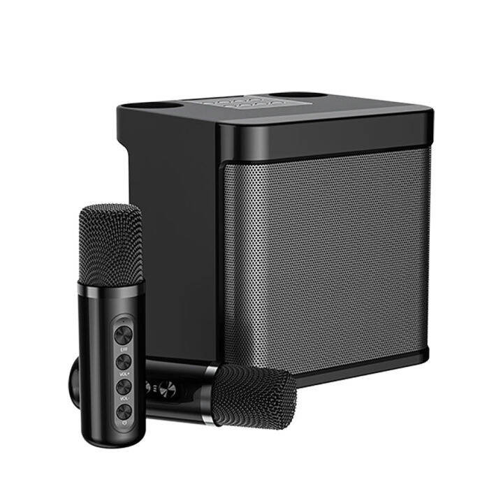 100W portable professional karaoke dual microphone Portable Wireless ...