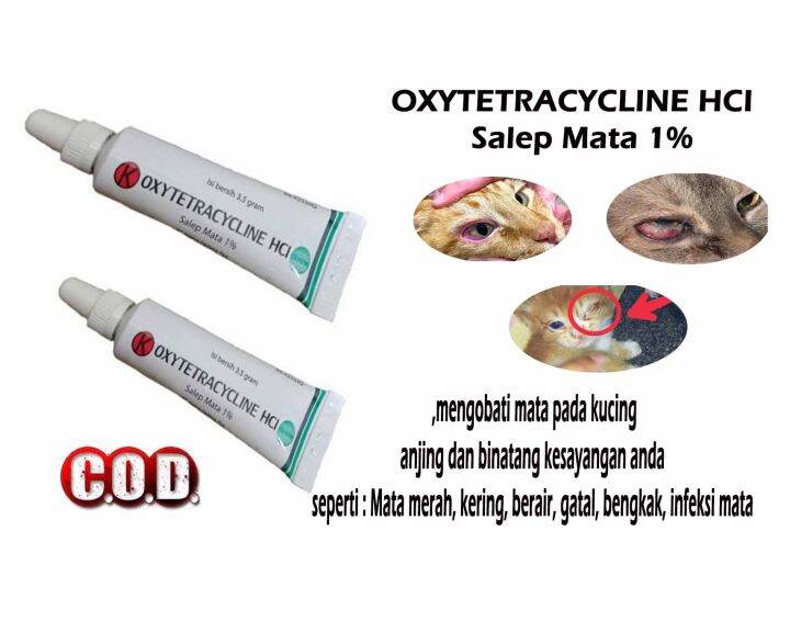 Salep Sakit Mata Kucing, Oxytetracyclin oksitetrasiklin 1% tube 3,5 ...
