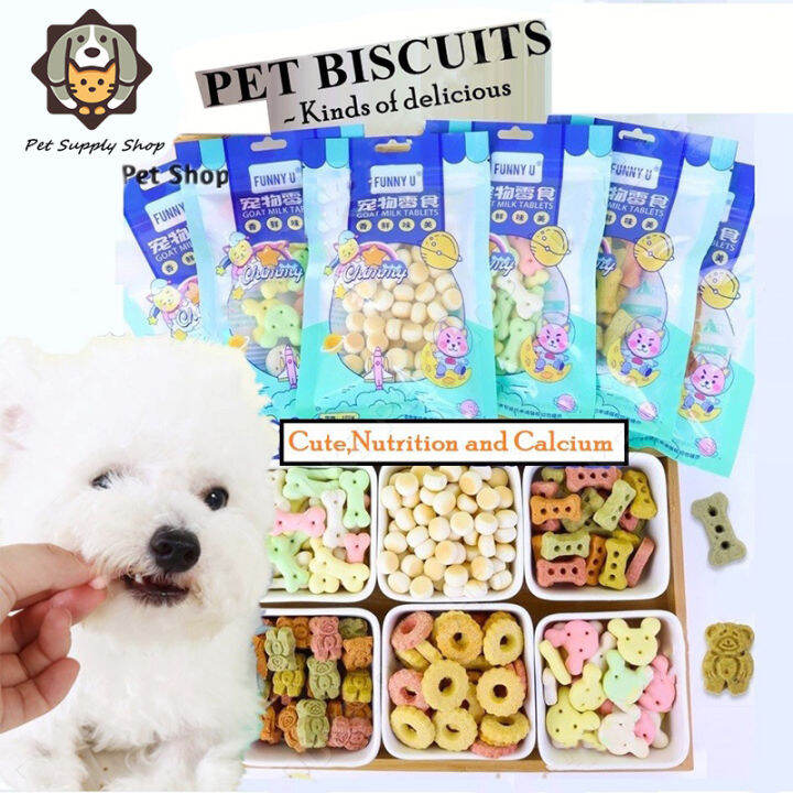 100g Pet Biscuit Dog Treats Dog Snack Dog Biscuit Dog Pet Treat | Lazada PH