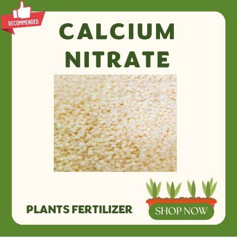 CALCIUM NITRATE FERTILIZER - 10grams | Lazada PH