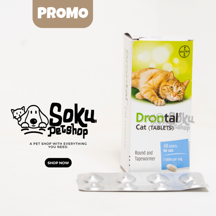 drontal obat cacing kucing pertablet | Lazada Indonesia