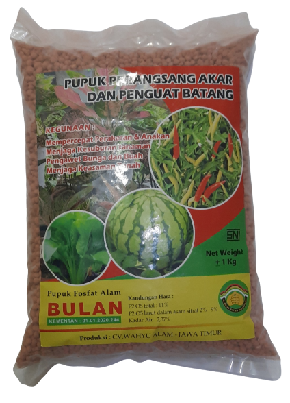 pupuk ponska repack 100grm pupuk perangsang akar dan penguat batang ...