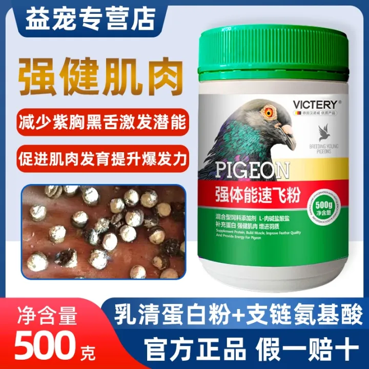 Pigeon supplementary recovery physical fitness competition training and ...