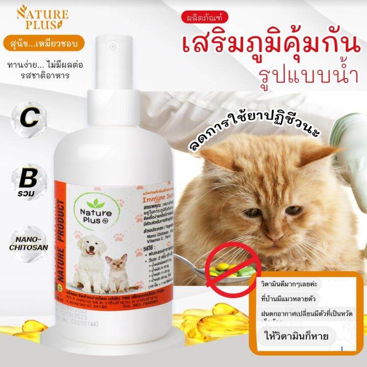 ผลิตภัณฑ์รักษาแผลในช่องปาก ปากอักเสบ ป่วยบ่อย ป่วยเรื้อรัง ต้องลอง วิตามินเสริมภูมิคุ้มกัน ...